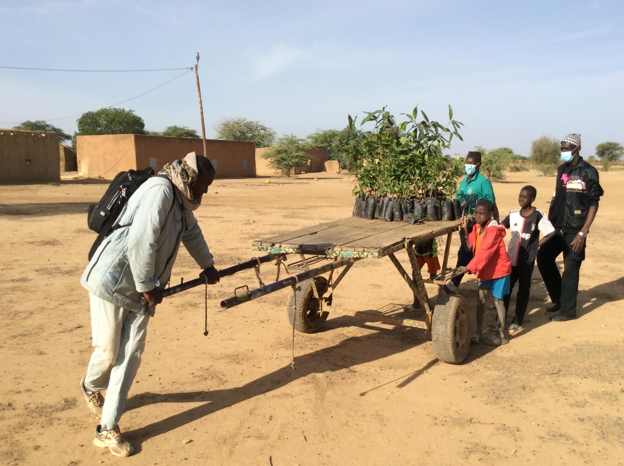 Fruit trees for senegalese villages - Naturefriends Climatefund