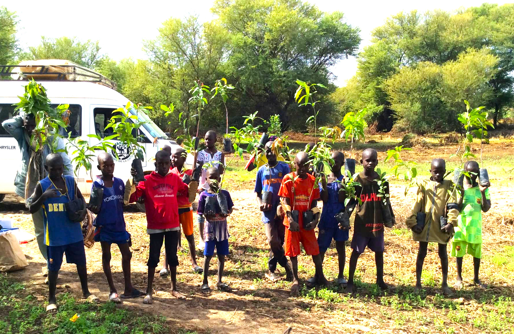 Fruit trees for senegalese villages - Naturefriends Climatefund